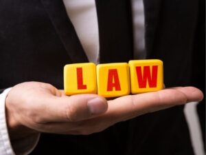 The Virtues of a Law-Abiding Citizen: Pillar of a Thriving Society ...